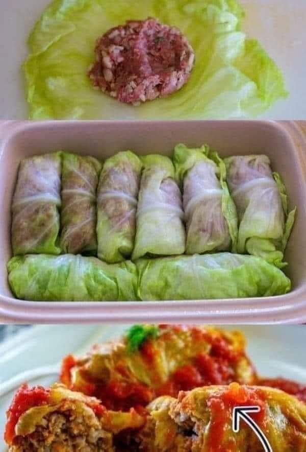 Stuffed Cabbages
